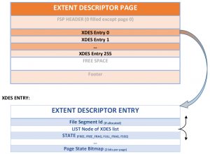MySQL :: InnoDB : Tablespace Space Management